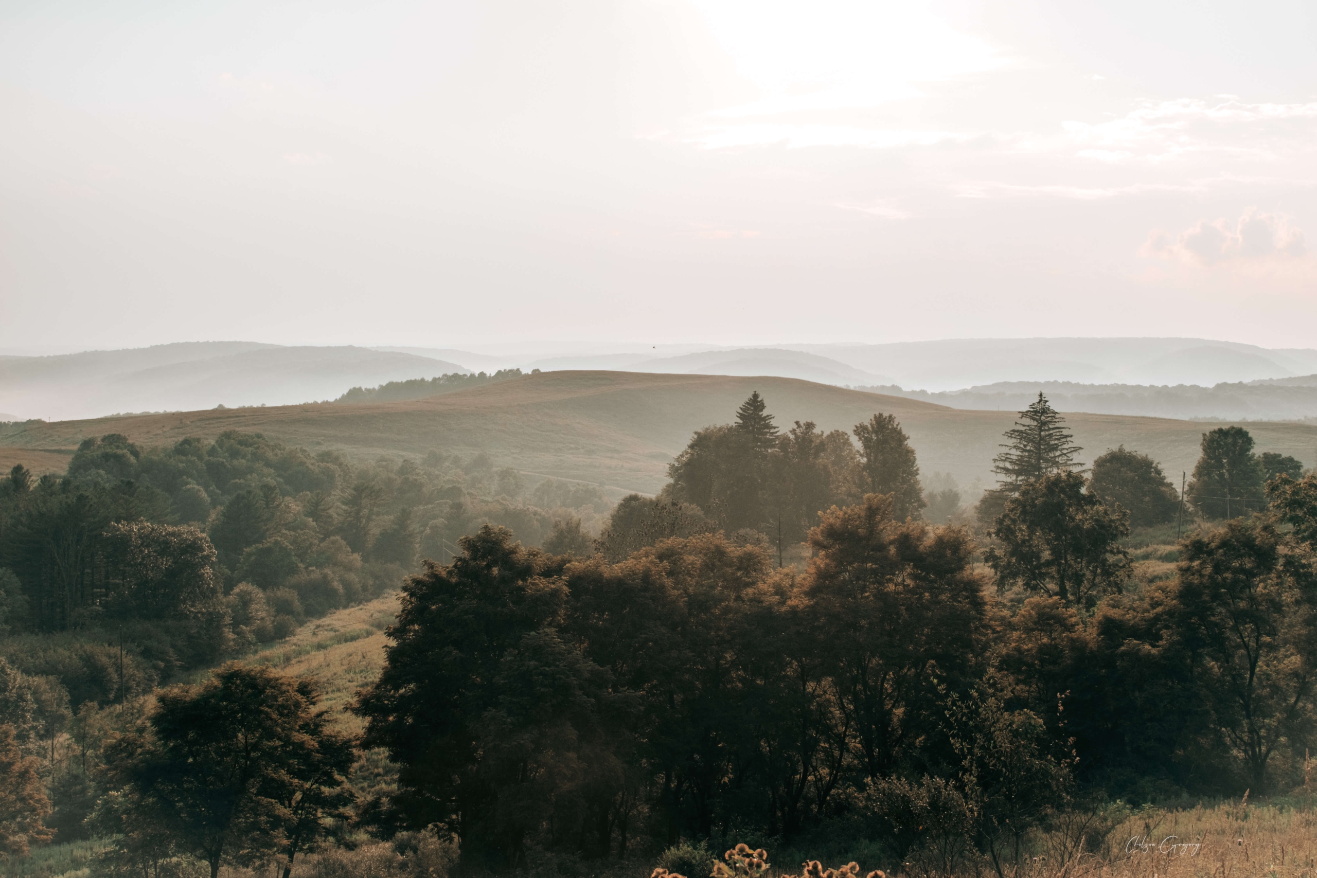 Benezette Township – Elk Capital of Pennsylvania